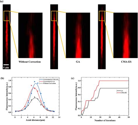 Figure 1 From Aberration Correction For Multiphoton Microscopy Using