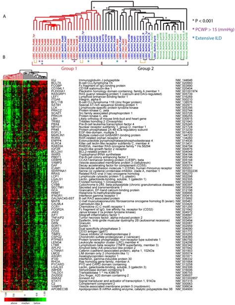 A Hierarchical Clustering Dendrogram Generated Using 305 Probes
