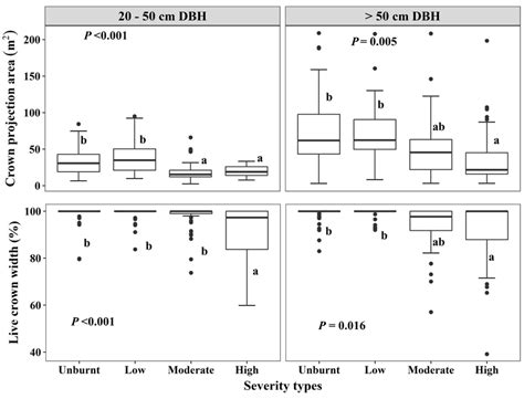 Comparison Of Field Measured Horizontal Crown Metrics Crown Projection