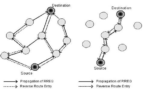 a propagation of rreq b propagation of rrep download scientific