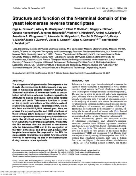 Pdf Structure And Function Of The N Terminal Domain Of The Yeast Telomerase Reverse Transcriptase