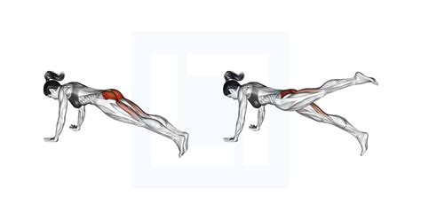 Plantar Flexion Stretch Guide Benefits And Form