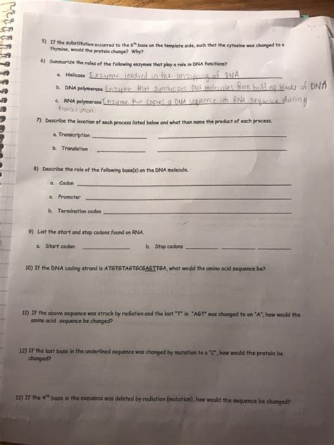 Solved If The Substitution Eccurred To The Base On The Chegg Com