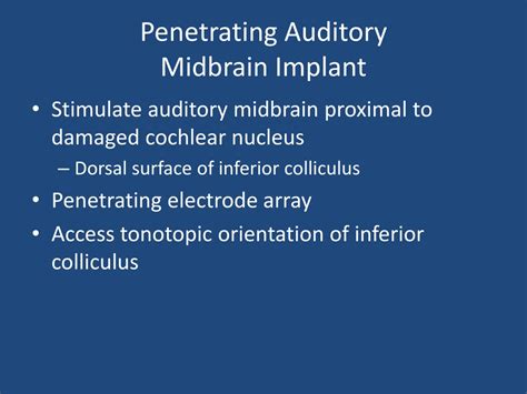 Ppt Central Neural Auditory Prosthesis Powerpoint Presentation Free Download Id9400865