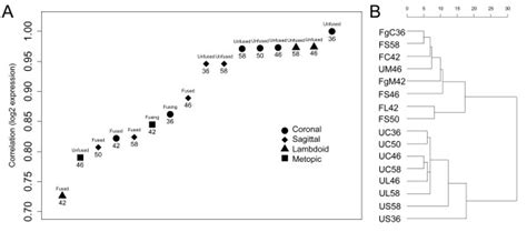 Microarray Sample Correlations Based On A Selected Gene List Fused V Download Scientific