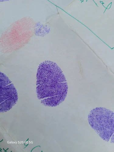 Fingerprint Comparison Services In Noida