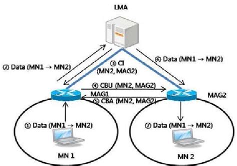 Triangular Routing Semantic Scholar