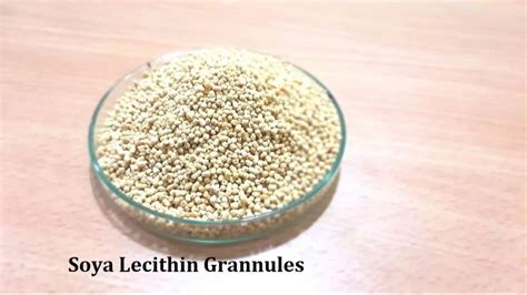Amilife Soya Lecithin Granules Amitex Agro Product Pvt Ltd 1 Kg At ₹ 450 Kg In Barwani