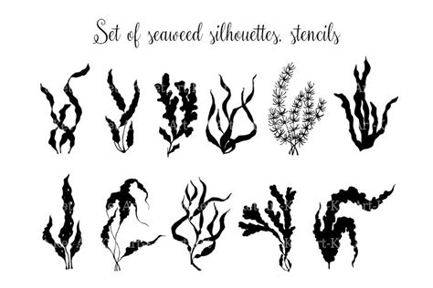 Seaweed Stencils