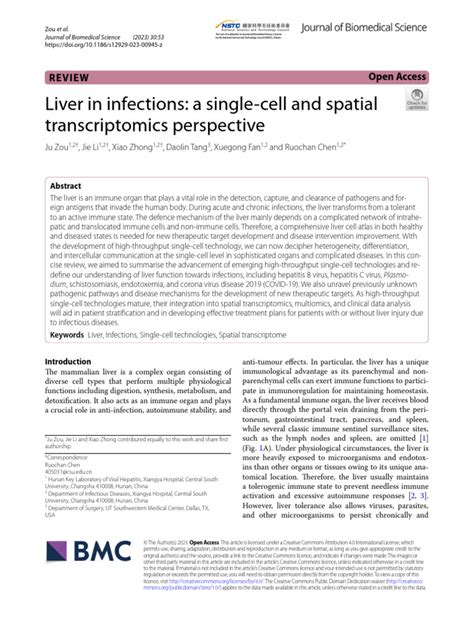 Liver In Infections A Single Cell And Spatial Transcriptomics