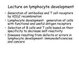 T Lymphocyte Development Thymus Maturation Selection