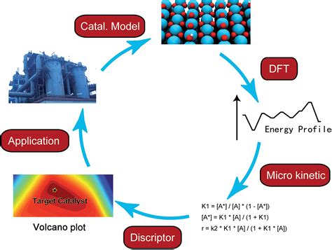 Molecular Understandings On The Activation Of Light Hydrocarbons Over