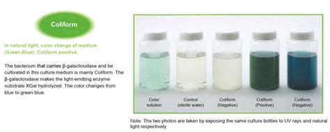 Ec Blue For Detection Of Coliforms And Escherichia Coli In Waters