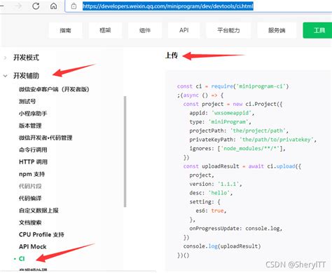 微信小程序入门（三）：miniprogram Ci 实现小程序代码的上传等操作error Error Errcode 1errmsgget New Tick Csdn博客