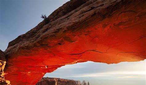 Фотограф Алан Полман Alan Poleman Канада