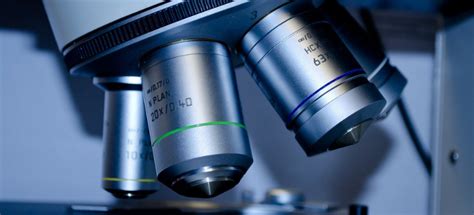 Agroalimentaire Rôle Dun Laboratoire Danalyses