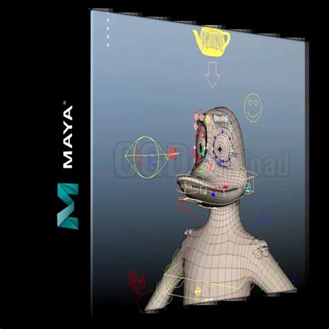 python for maya beginner to advanced rigging automation cgdownload