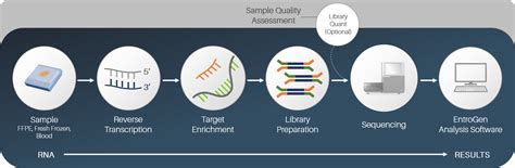 rna fusion gene panel entrogen inc
