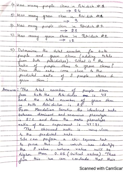 Solution Final Studypool Pdf Studypool