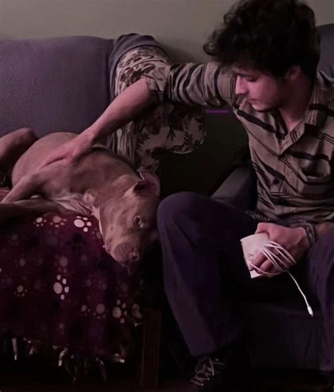 Lucas Jade Zumann Instagram Stories No Address Behind The Scenes Instagram Story Lucas