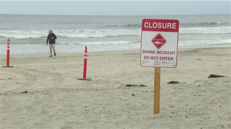 Carnegie Medal Given To Sd Men Who Rescued Shark Attack Victim