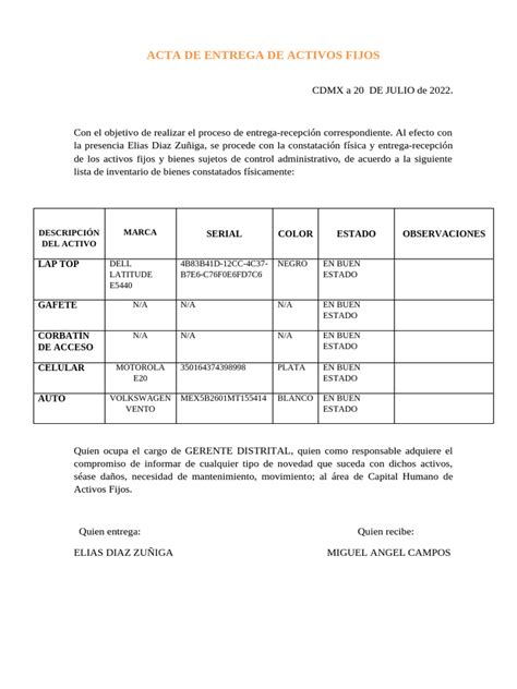 Acta De Entrega De Activos Fijos Cdmx Pdf