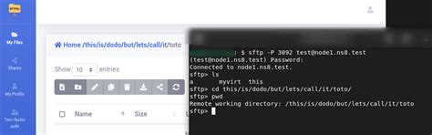 sftpgo directory not found support nethserver community