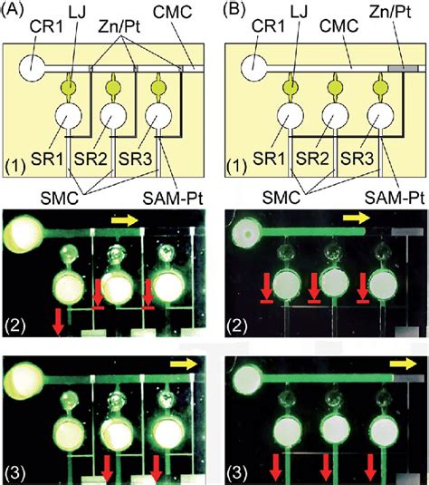 Solution Distribution Device A Sequential Distribution A1