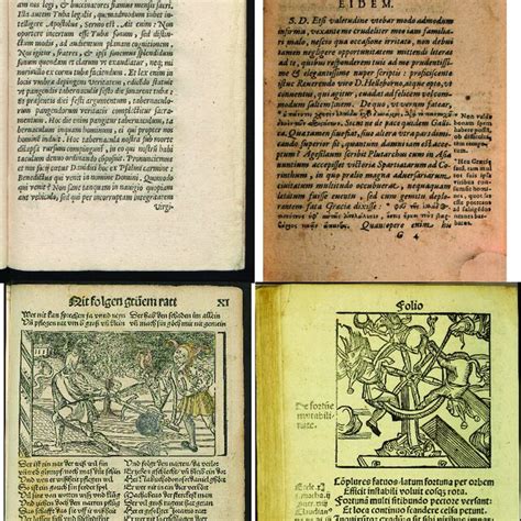 example images from the datasets used top row from left to right