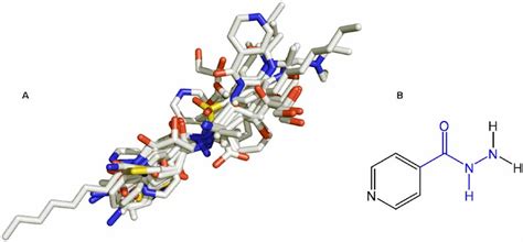 Three Dimensional Data Set Alignment A Alignment 1 B Template Download Scientific Diagram