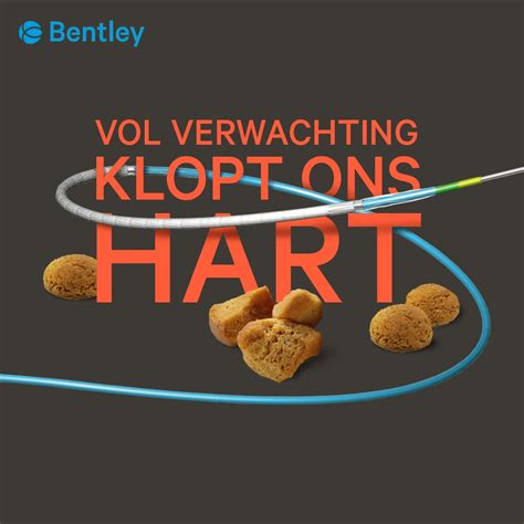 Tabitha Van Dijk På Linkedin Bentley