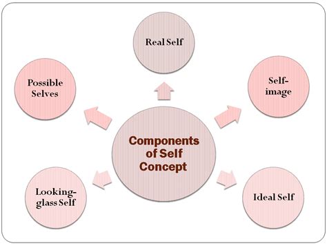 Self Concept Meaning Components Types And Applications