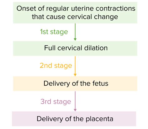 Normal And Abnormal Labor Concise Medical Knowledge