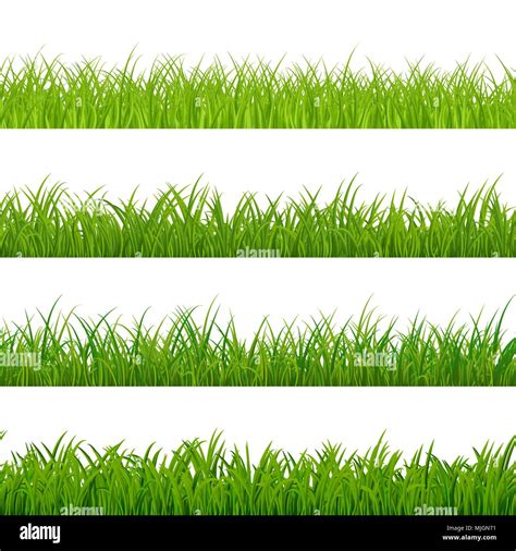 Grass Texture