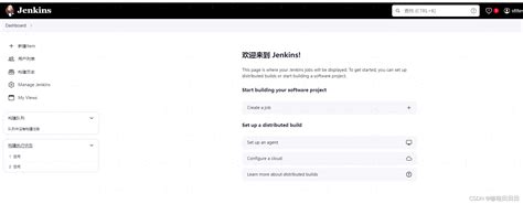 容器化部署 jenkins，并配置ssh远程操作服务器 jenkins ssh csdn博客