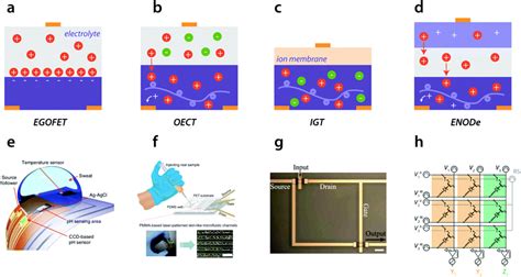 Towards Organic Neuromorphic Devices For Adaptive Sensing And Novel Computing Paradigms In