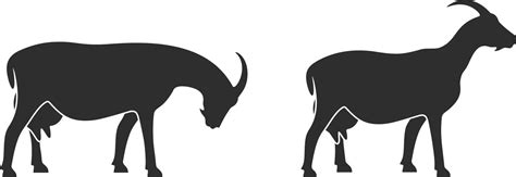 Goat Royalty Free Vector Image Vectorstock