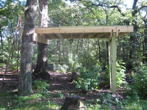 Platform Design Idea Chosen For Treehouse Harrisons Hideout Tree
