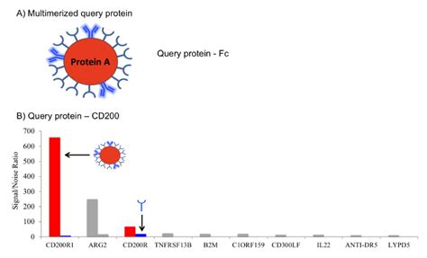Extracellular Protein Microarray Technology For High Throughput