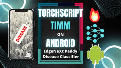 PyTorch at the Edge: Deploying Over 964 TIMM Models on Android with ...