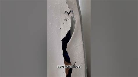 얌전한 고양이 데리고 온 줄 알았는데 아니였어요 Youtube