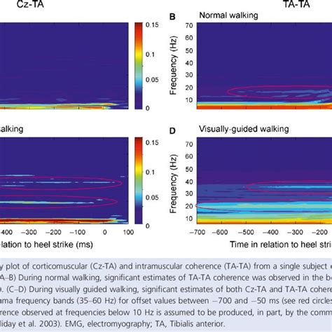 Intermuscular Sol Mg And Corticomuscular Cz Sol Coherence During Download Scientific