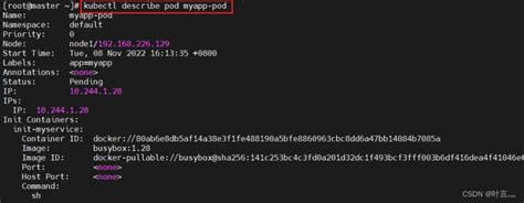 【云原生之k8s】 pod基础概念 pod failed to pull image busybox 1 28 rpc error csdn博客