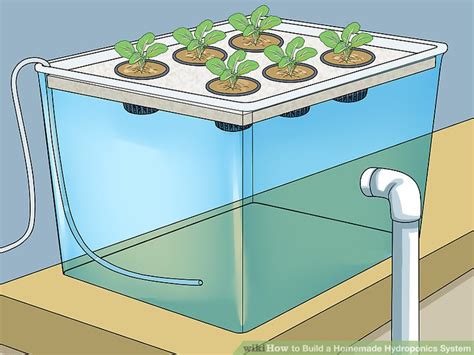3 Ways To Build A Homemade Hydroponics System WikiHow