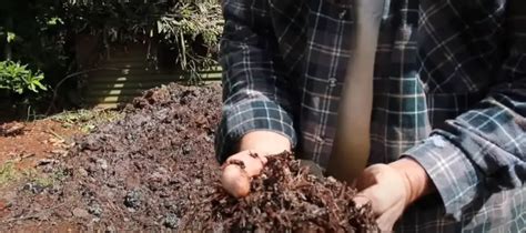 Garden Soil Vs Compost Whats The Difference GardenProfy