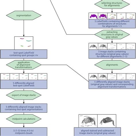 steps of data alignment and statistical analysis of alignment quality