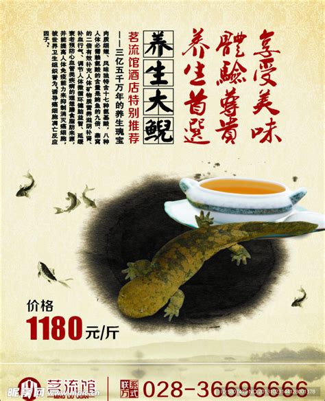 娃娃鱼设计图 海报设计 广告设计 设计图库 昵图网