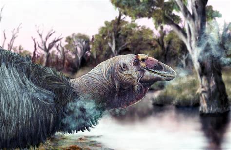 Archaeologists Find Rare Skull Of An Extinct Massive Thunder Bird