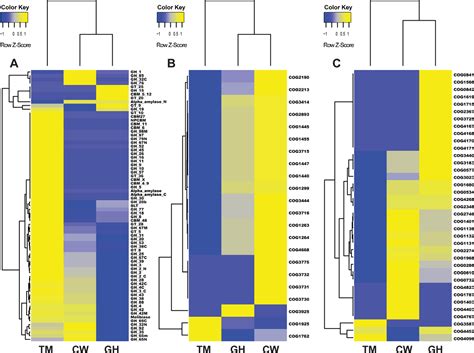 Figure 1 From Comparative Genomic Analysis Of The Endosymbionts Of