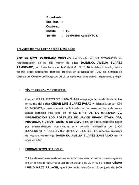 Demanda De Alimentos Pdf Demanda Judicial Gobierno Y Personalidad